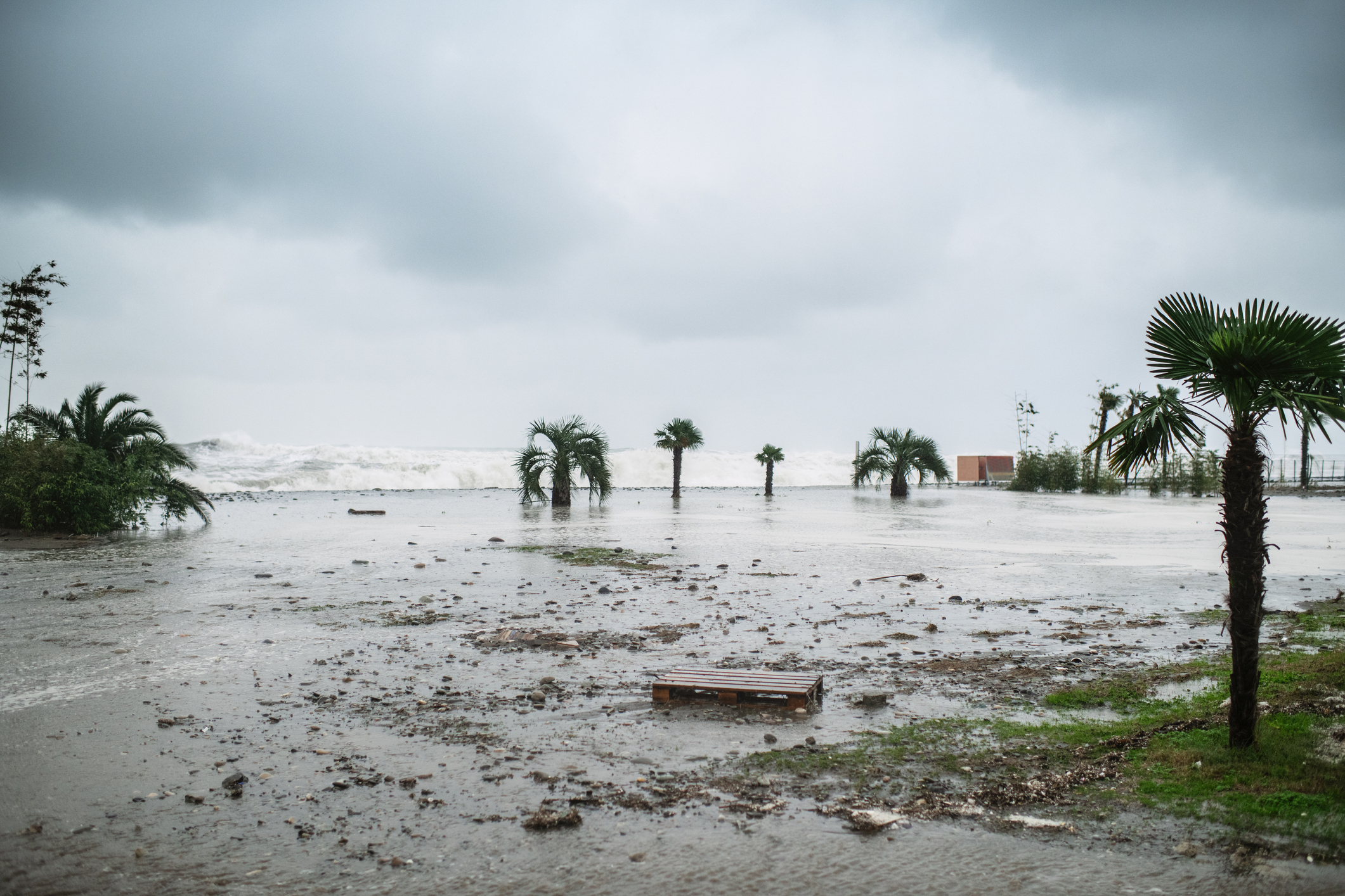 The Future of Hurricane Damage Litigation: Emerging Trends and Legal ...